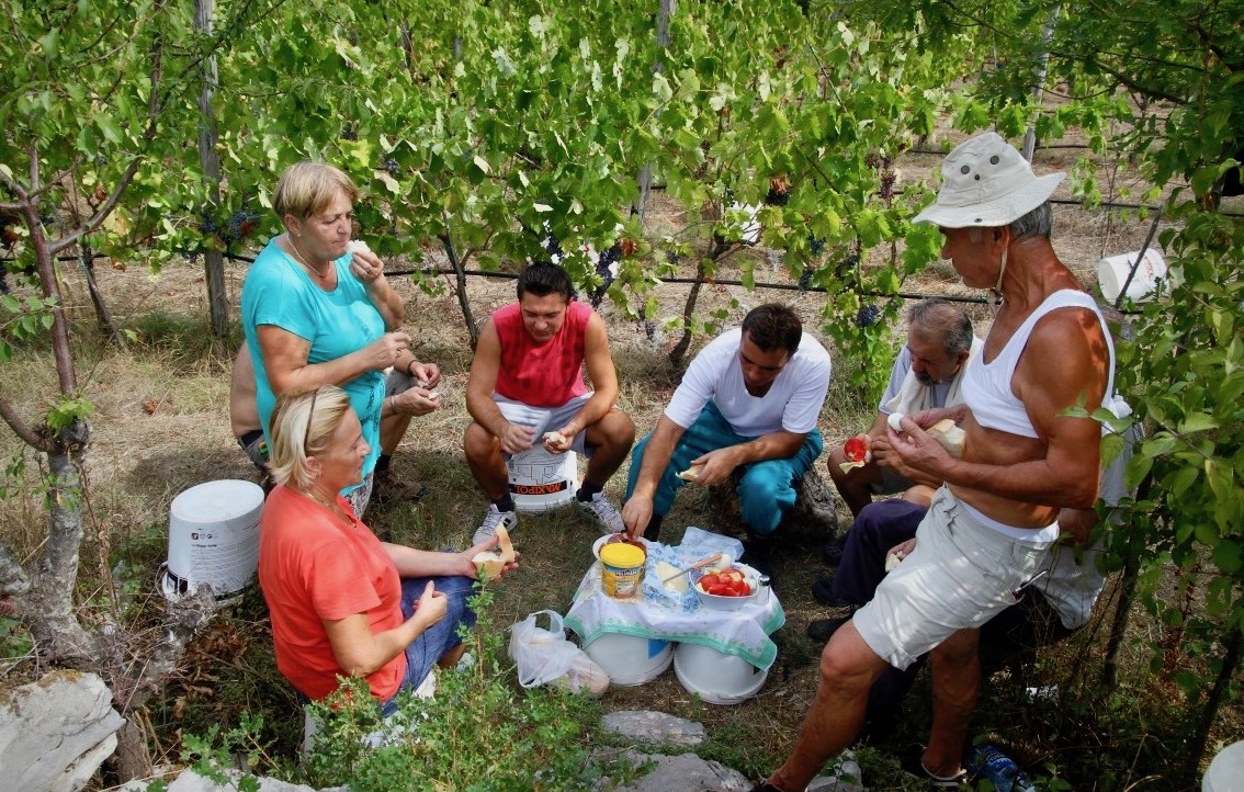 Montenegro’s National Drink – The making of Rakija - Nikena Eco ...