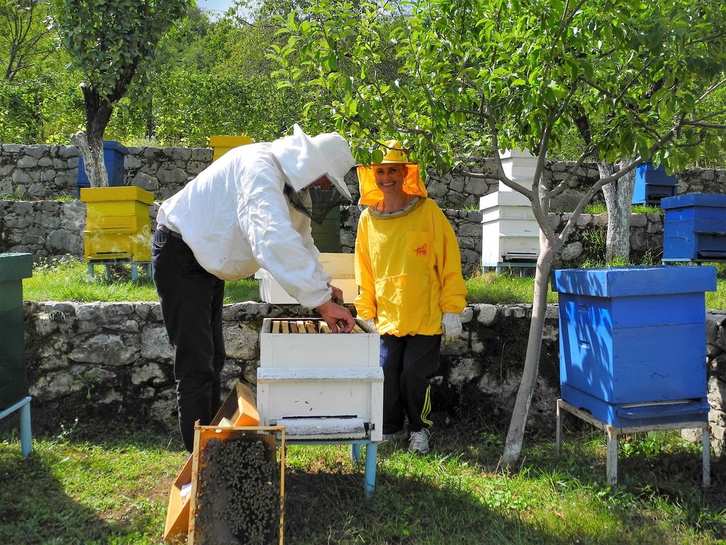 Lesson about beekeeping - Tailor-made travel in Montenegro